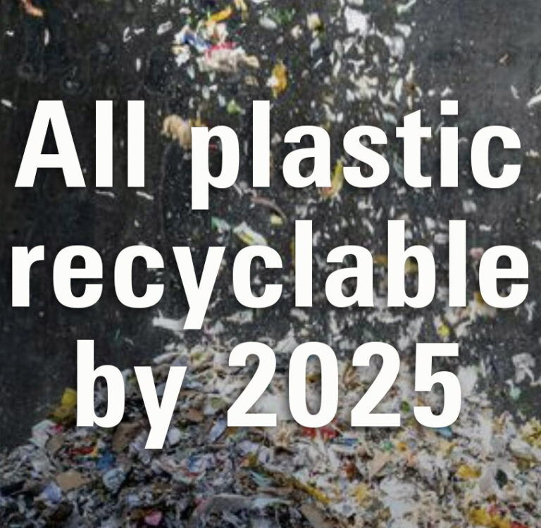 Fifteen European countries sign pact: all plastic recyclable by 2025