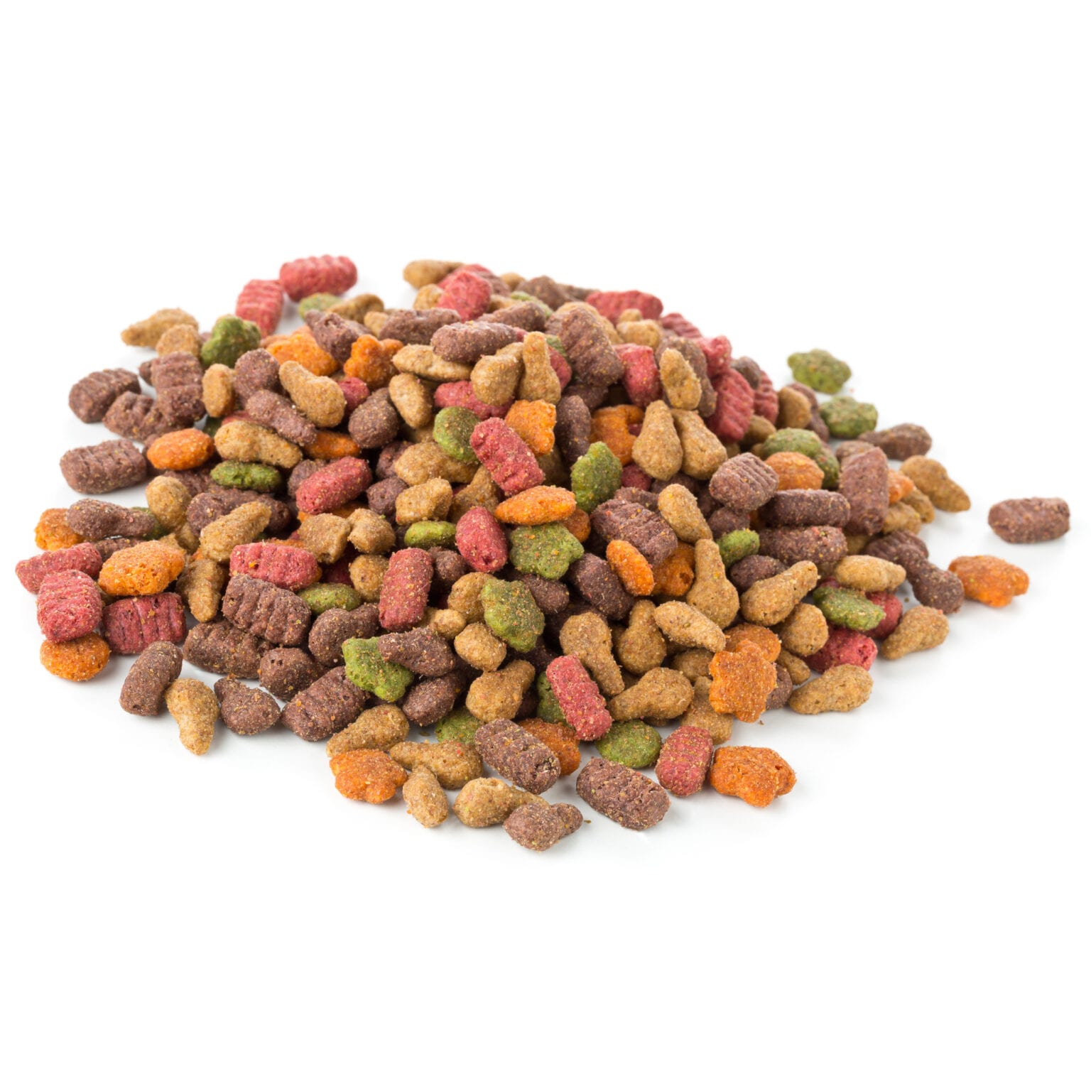 Pulp moulding machines for optimal automation and flexibility - Inmaco