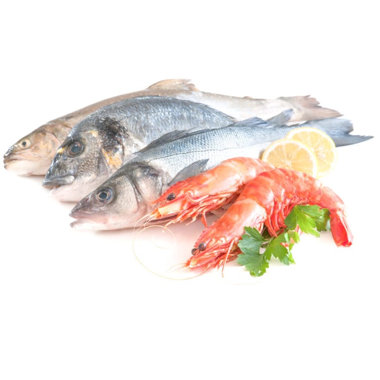 Pulp moulding machines for optimal automation and flexibility - Inmaco