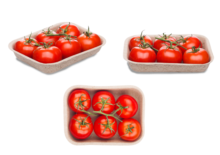 What does our pulp moulding machine process entail? - Inmaco