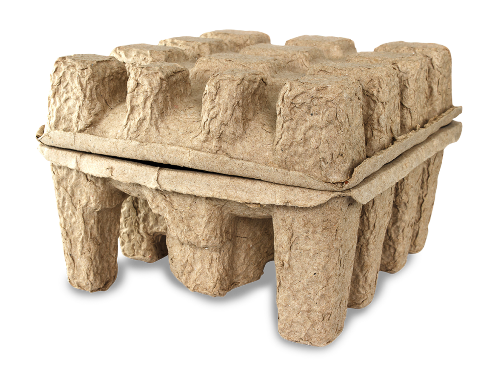 What does our pulp moulding machine process entail? - Inmaco